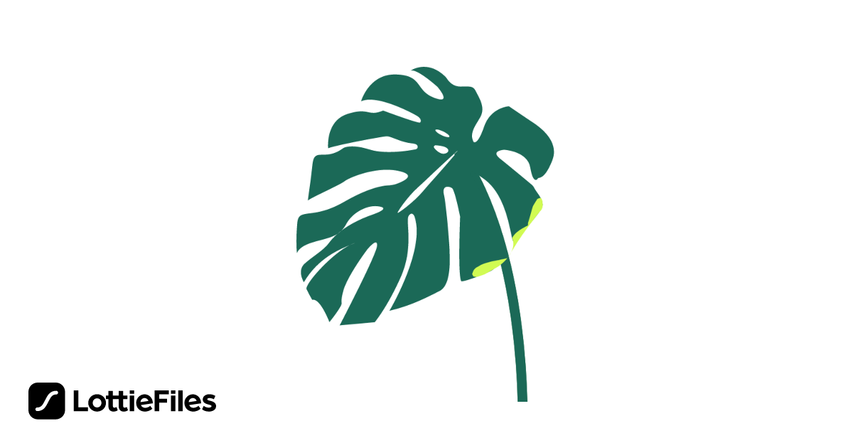 Free Monstera leaf Animation by Abby.A | LottieFiles