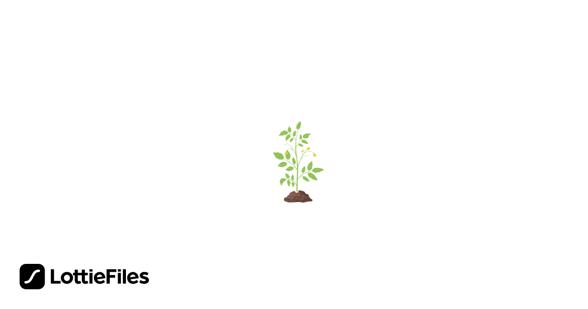 Free Tomato plant Animation by Summer | LottieFiles