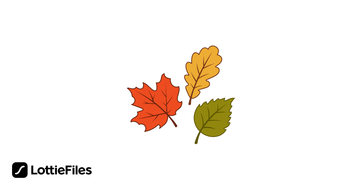 Free Maple Leaves Animation by Chondon | LottieFiles