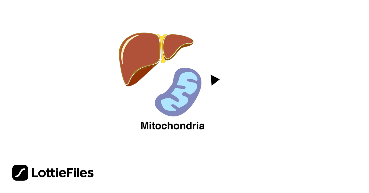 Free Urea cycle and organs responsible for the process Animation by ...