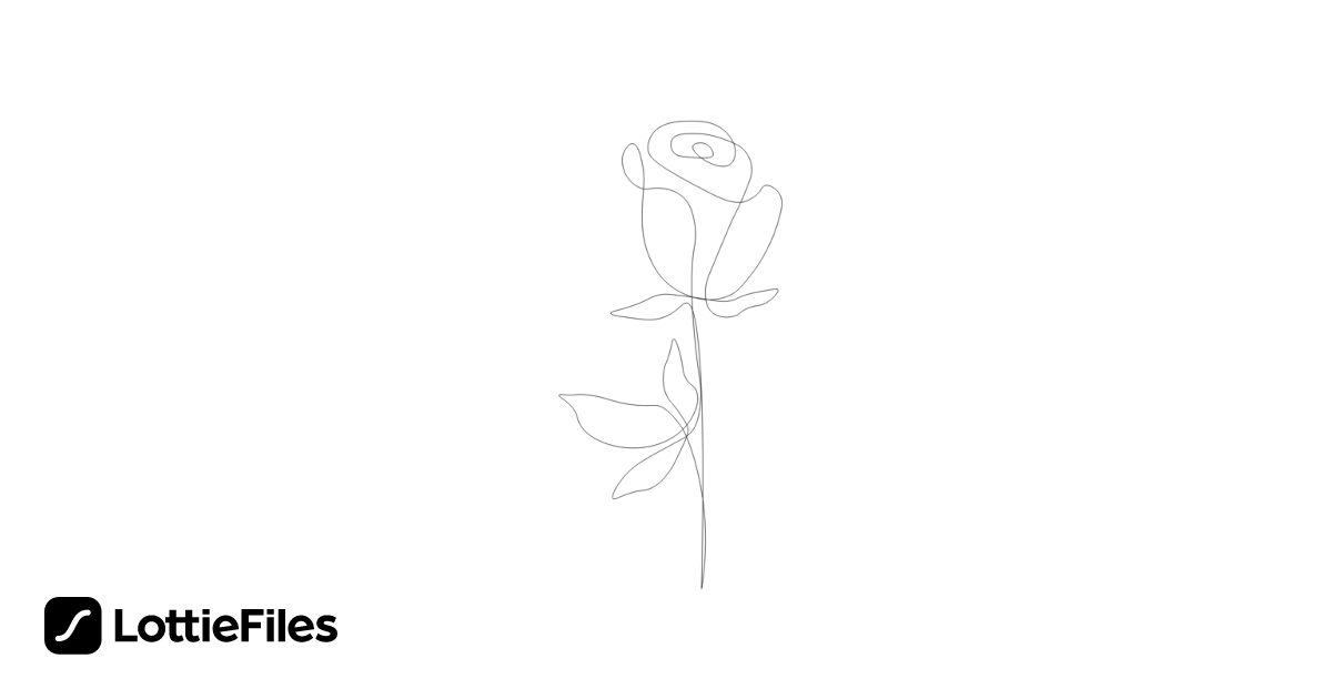 Free single line rose Animation by Magdalena | LottieFiles
