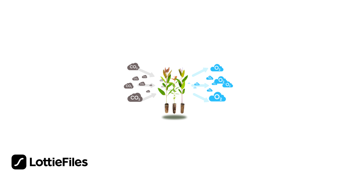 Free Co2 -> O2 Animation by Nattapong Takul | LottieFiles