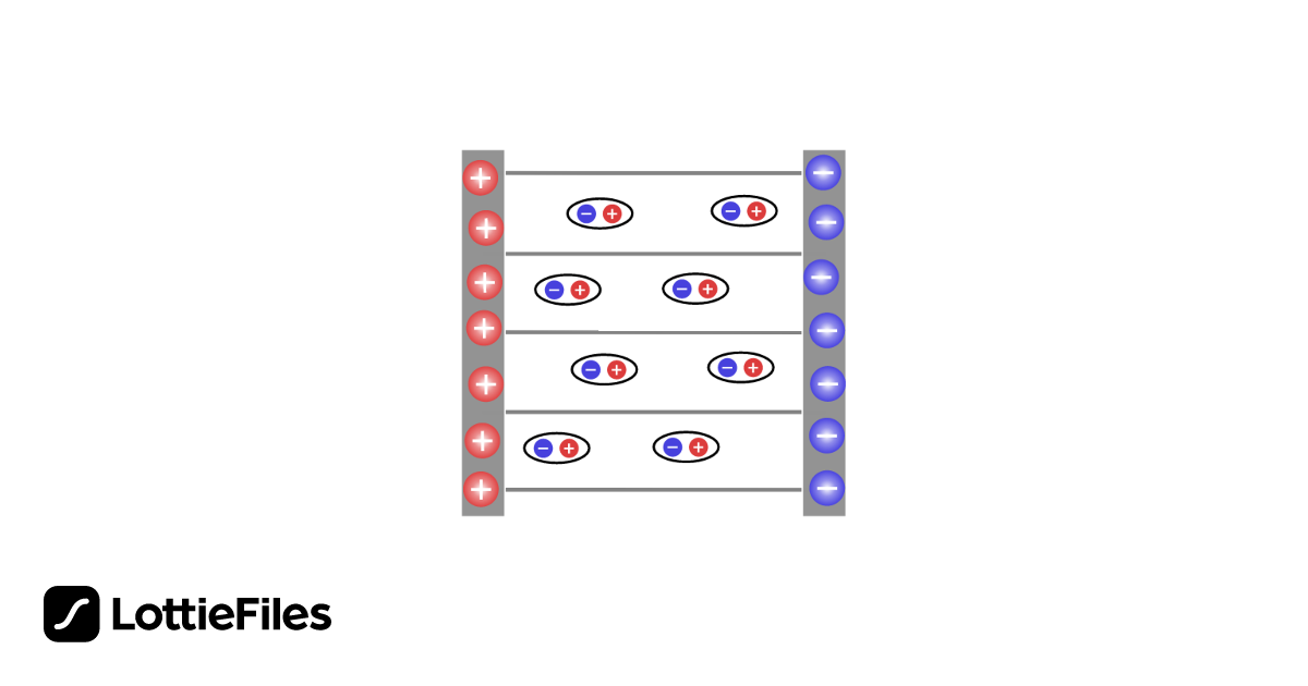 Free Dielectric (with insulator) Animation by Joana Barreira | LottieFiles