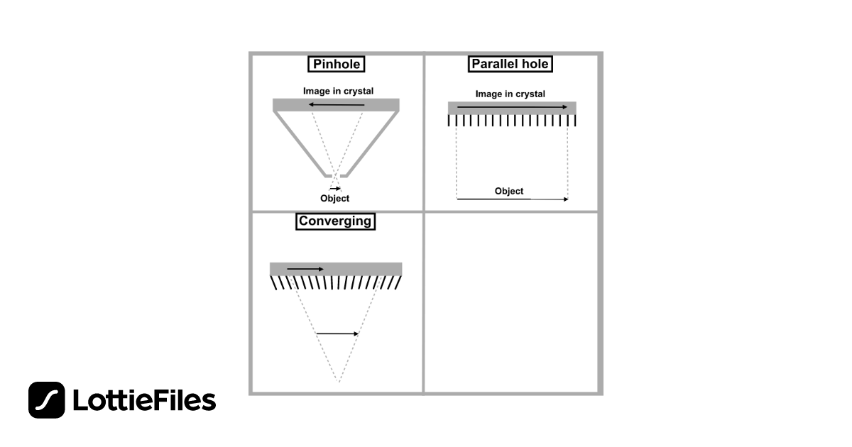 Free Gamma camera - Types of collimators Animation by Joana Barreira ...