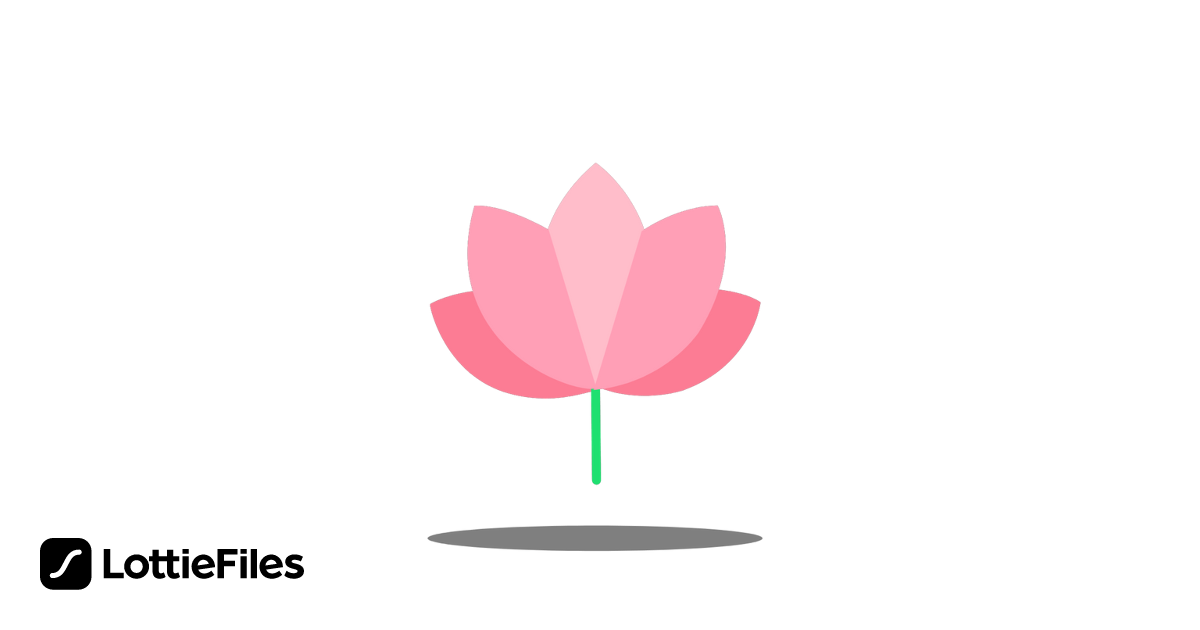 Free Lotus Flower Animation by Bashir | LottieFiles