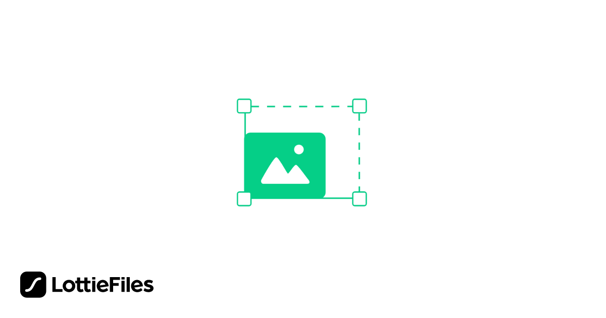 Free Photo optimization animation Animation by Serhii | LottieFiles