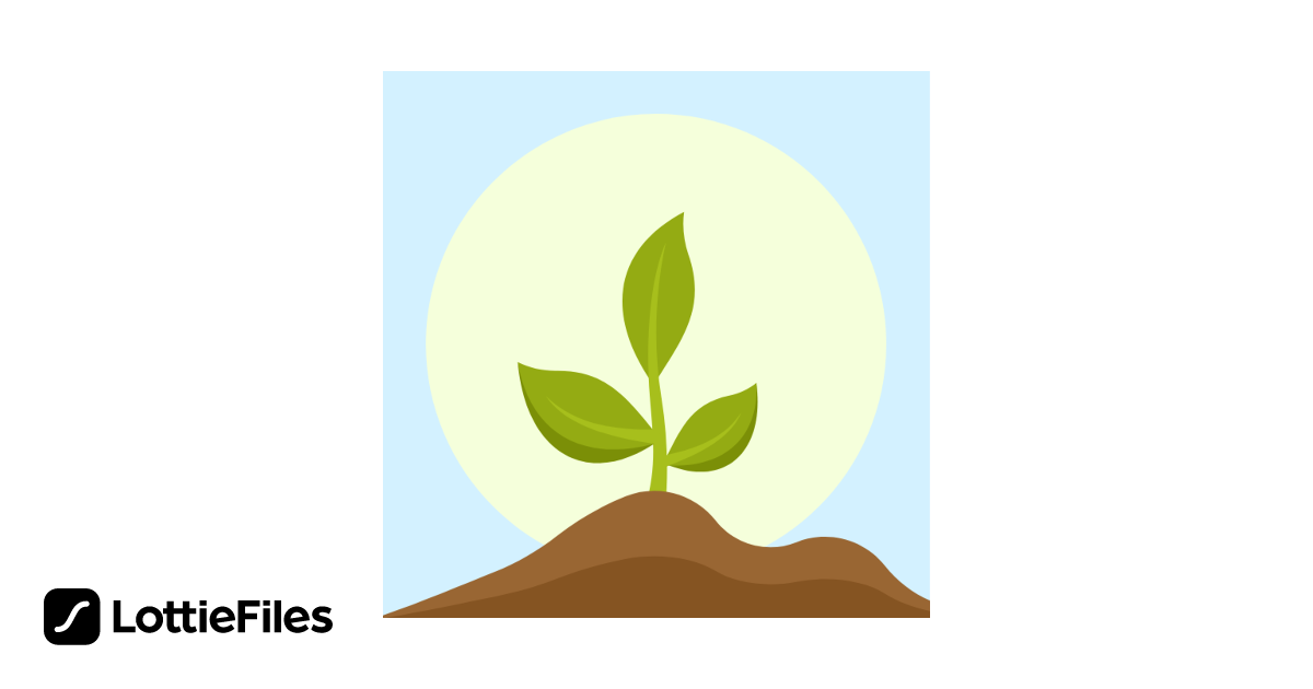 Free Plant Sprout Animation by Poly Artboard | LottieFiles