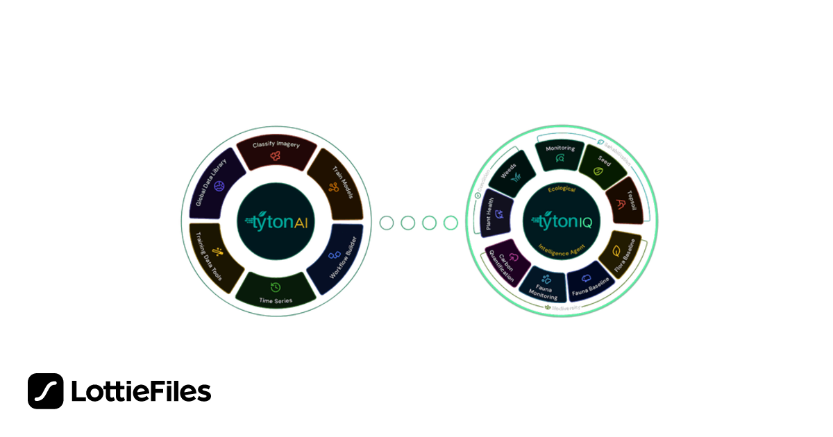 Free Tyton EIS Animation by digital | LottieFiles