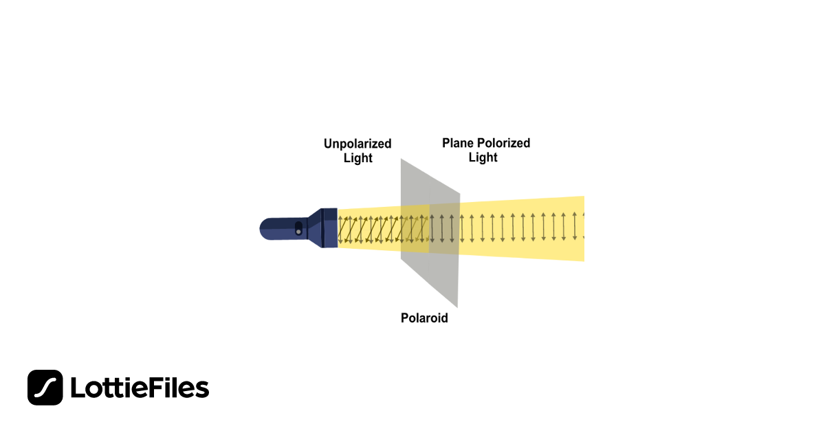 Free Polarized light explanation Animation by Joana Barreira | LottieFiles