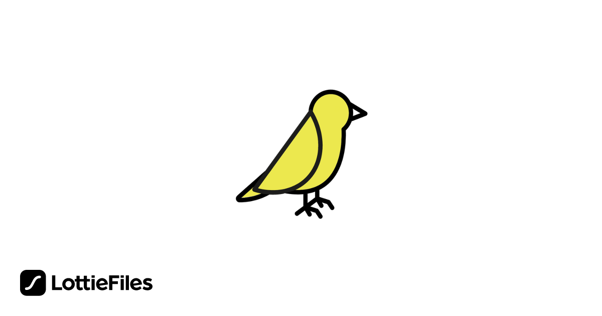 Free bird.json Animation by Diana Campos | LottieFiles