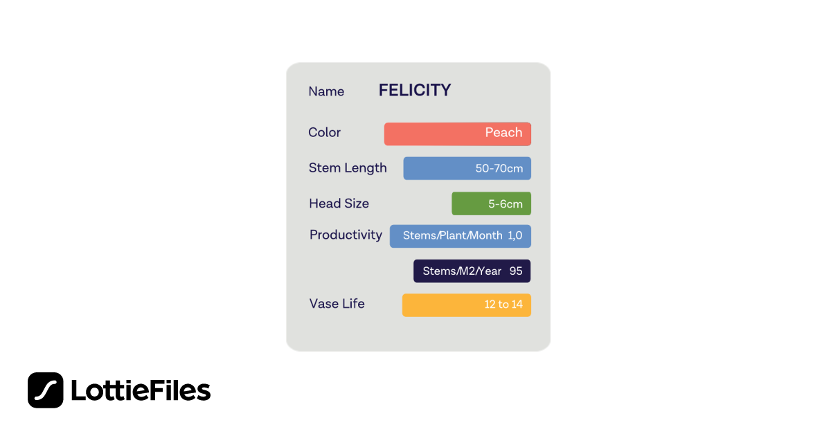 Free Felicity Infinity Animation by Bryan | LottieFiles