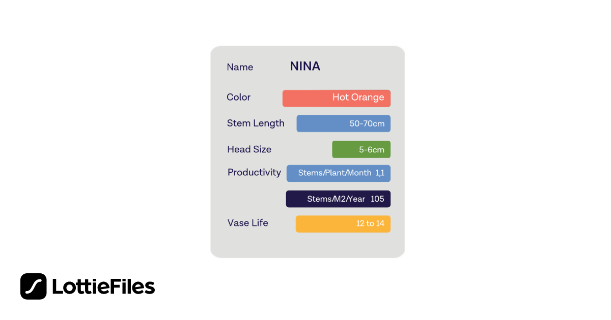 Free Nina infinity Animation by Bryan | LottieFiles