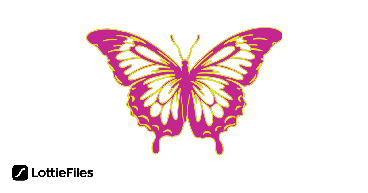 Free Butterfly Animation by Olive | LottieFiles