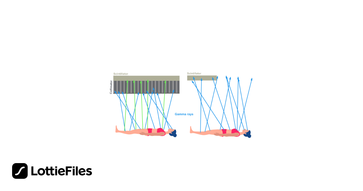 Free With and without collimator - Gamma camera Animation by Joana ...