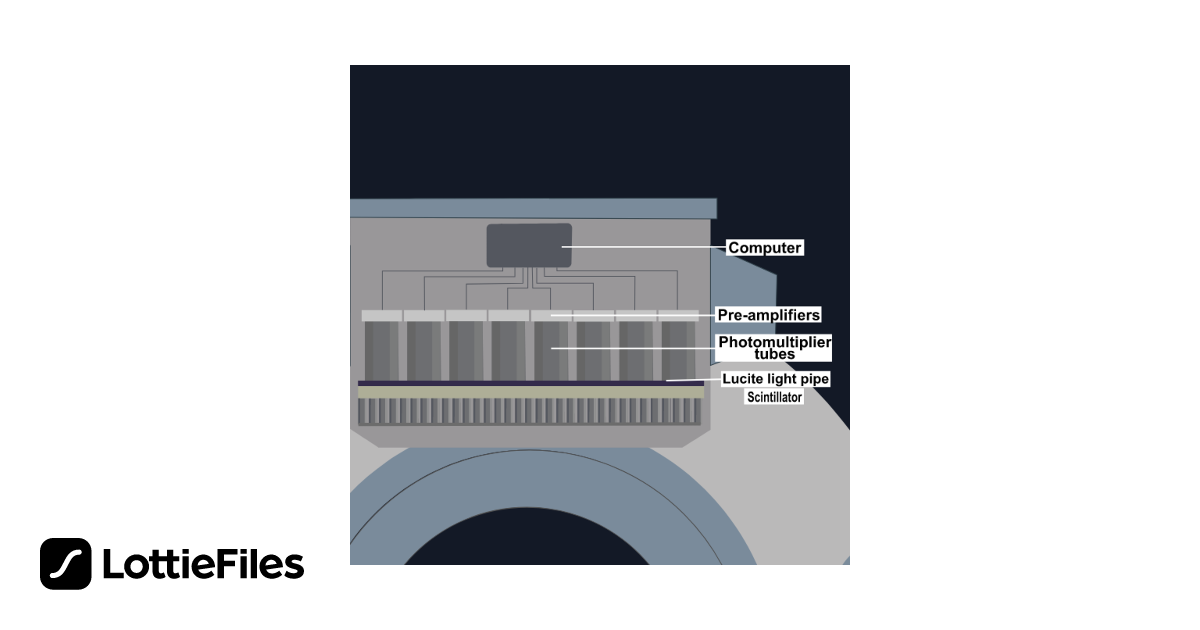 Free Gamma camera complete labelling Animation by Joana Barreira ...