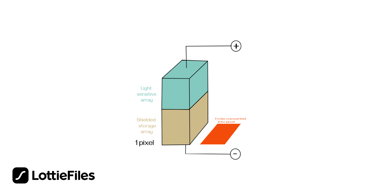 Free charged coupled device: flouroscopy Animation by Mervin Paul ...
