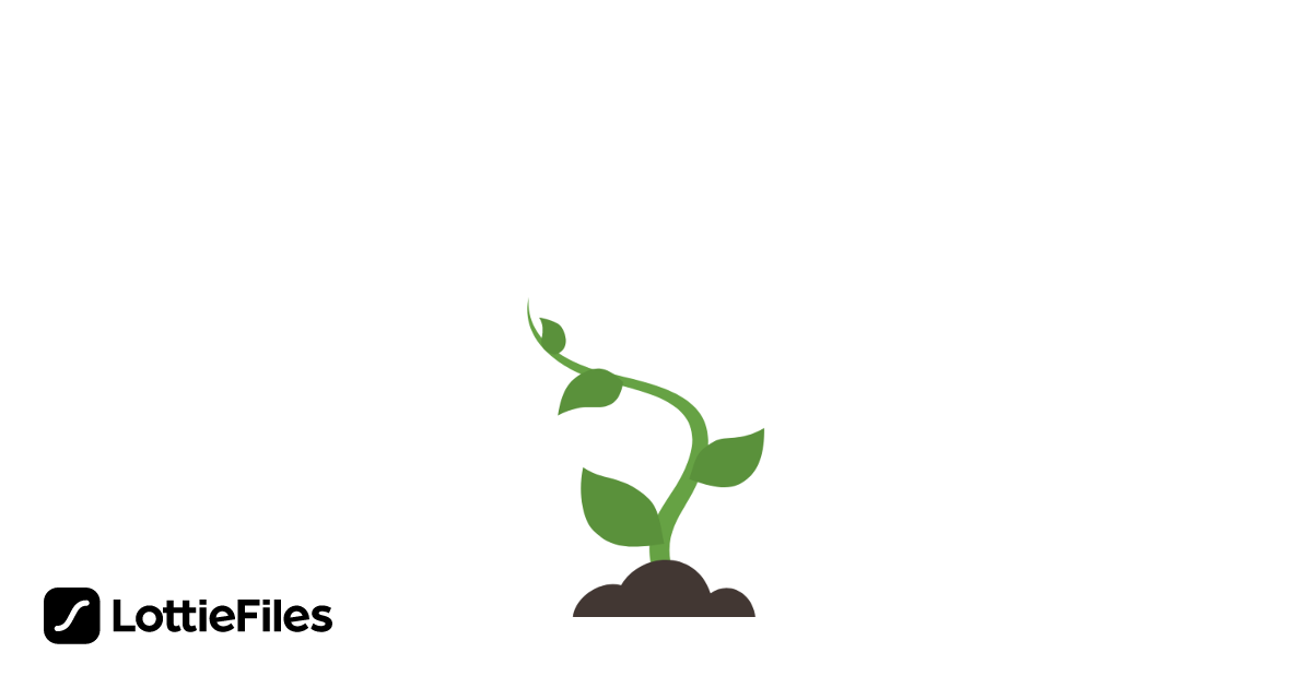 Free Seedling Animation by Aleksandr | LottieFiles