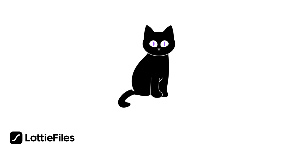 Free Black cat Animation by Sara | LottieFiles
