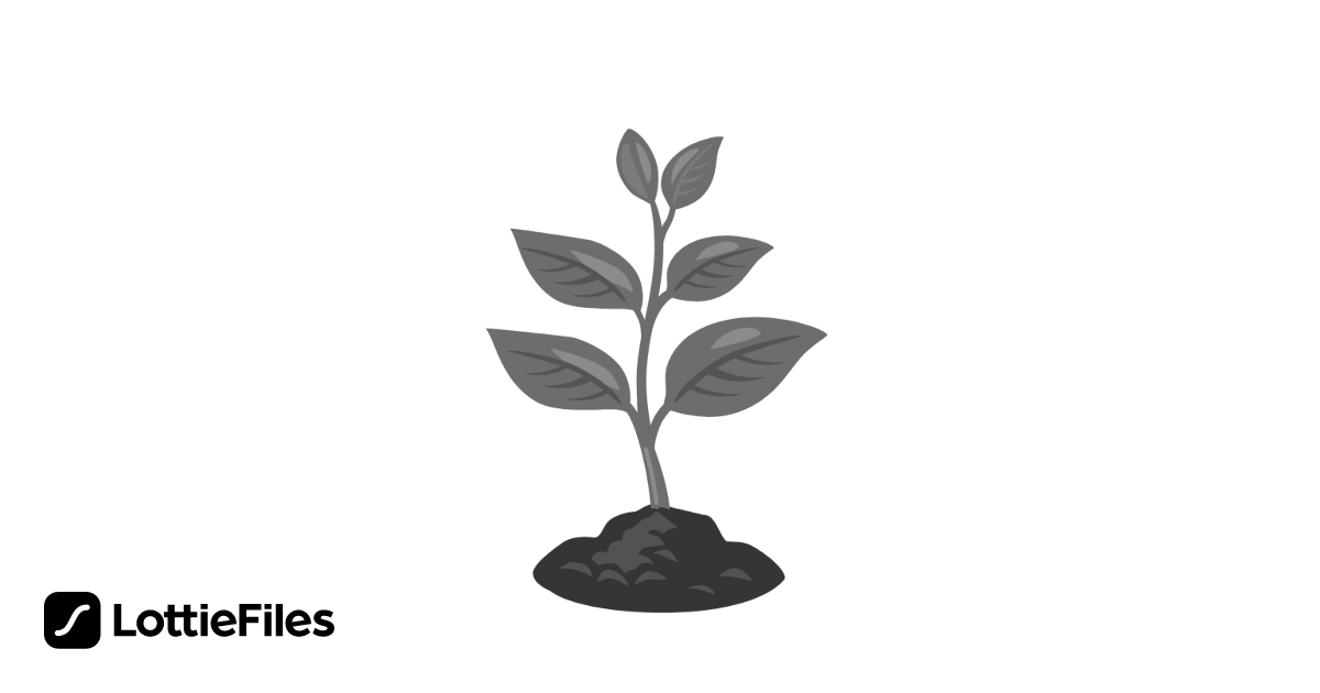 Free Plant Gray Animation by Niranjan Devasani | LottieFiles