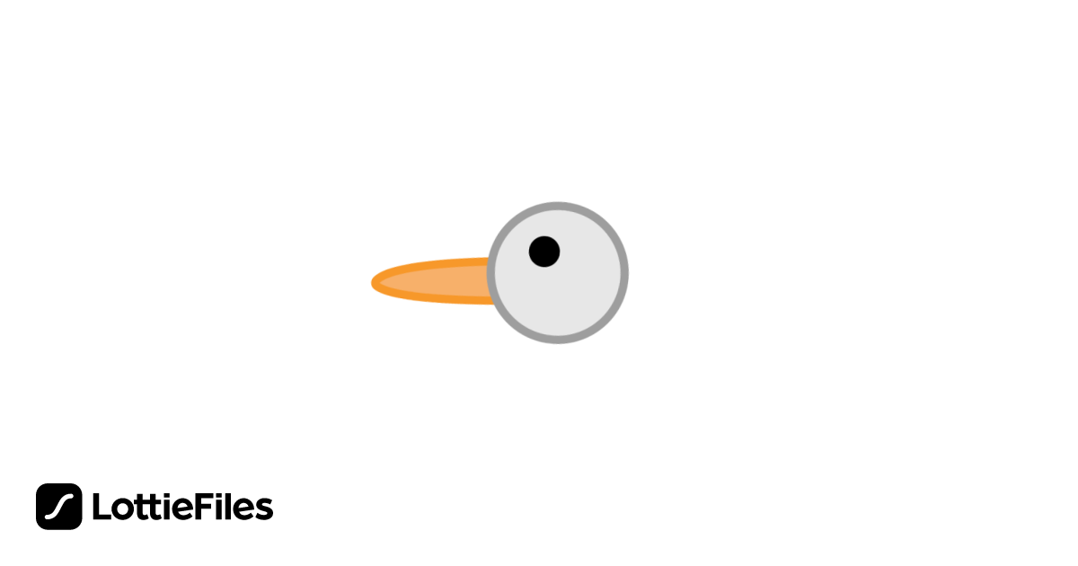 Free seabird Animation by Aidan Lawson | LottieFiles