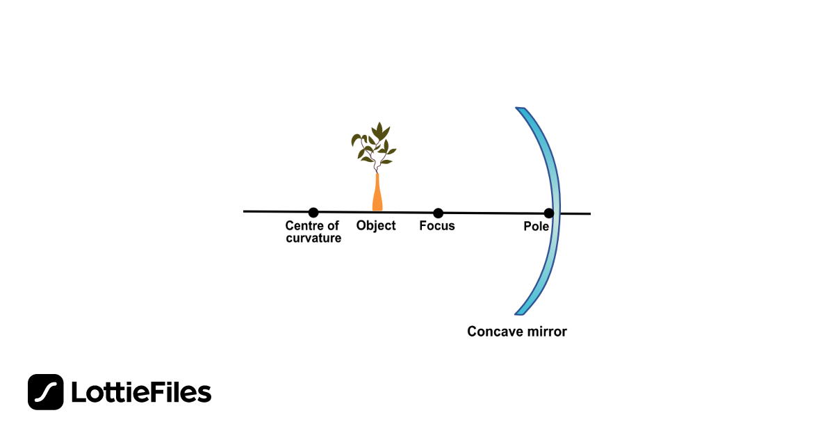 Free Object at location somewhere in between the center of curvature ...