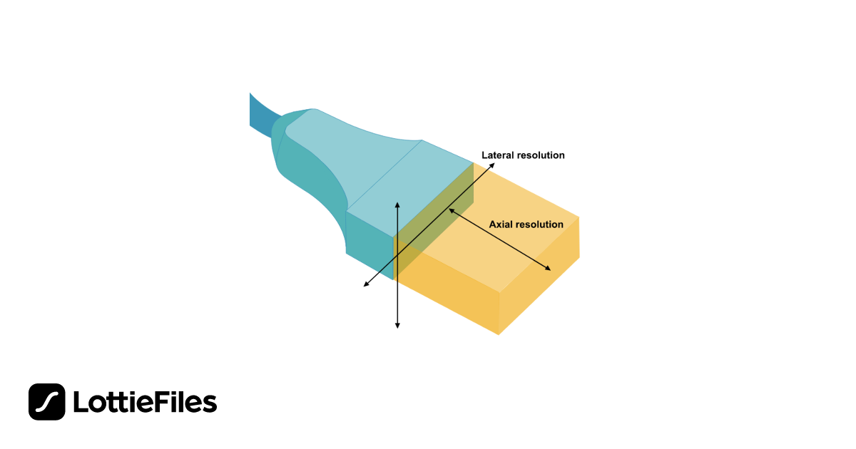 Free Ultrasound spatial resolution image properties Animation by Joana ...