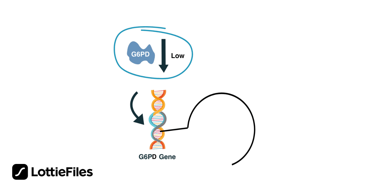 Free How Glucose-6-phosphate dehydrogenase enzyme deficiency leads to ...