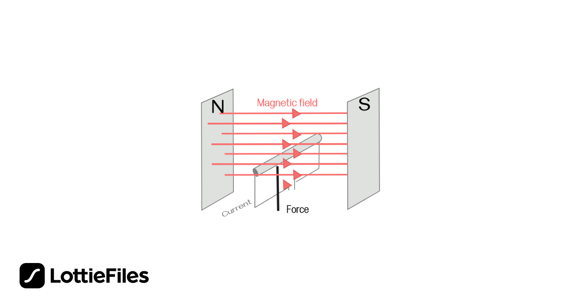 Free magnetic field Animation by Mervin Paul | LottieFiles