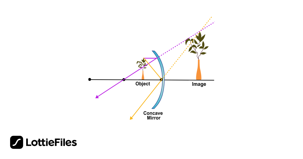 Free Upright images from concave mirror - Explanation Animation by ...