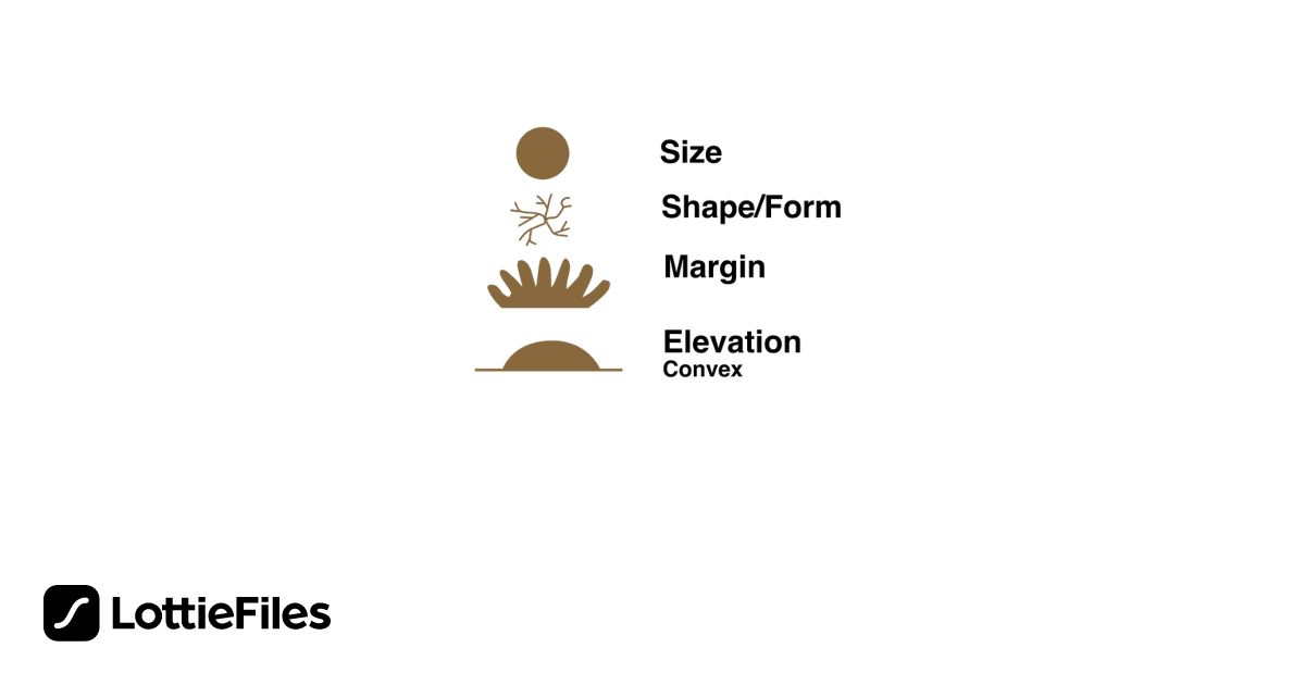 Free Colony morphology Animation by Joana Barreira | LottieFiles