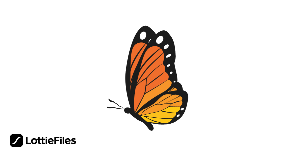 Free Butterfly flapping wings Animation by Tarryn Myburgh | LottieFiles