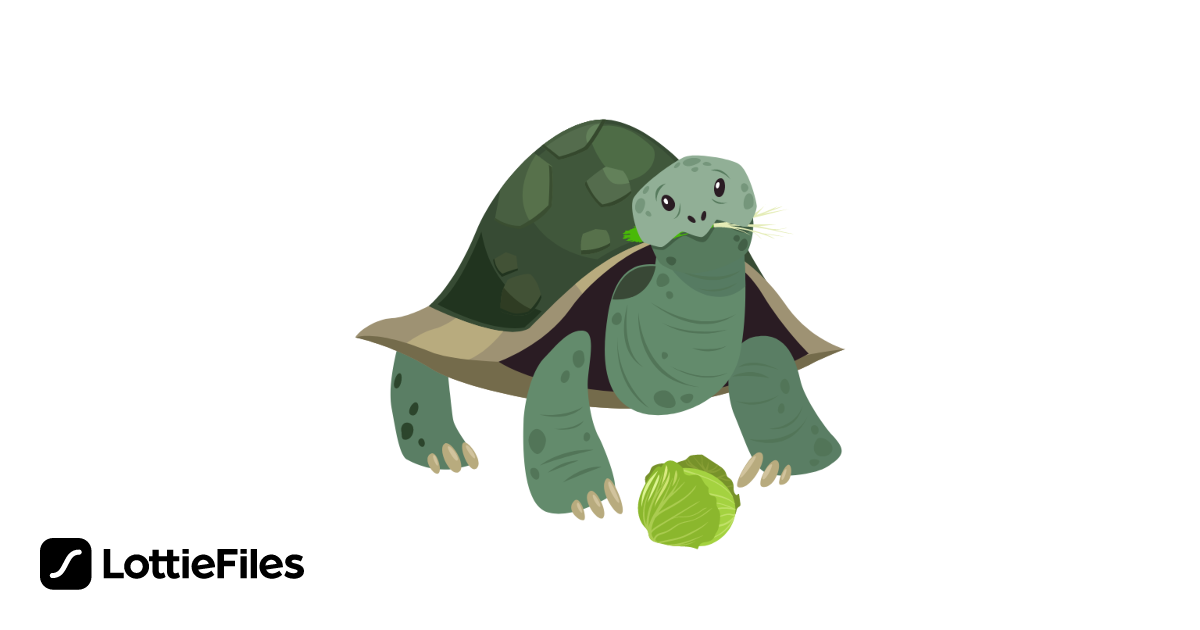 Free tortuga animada Animation by H2W | LottieFiles
