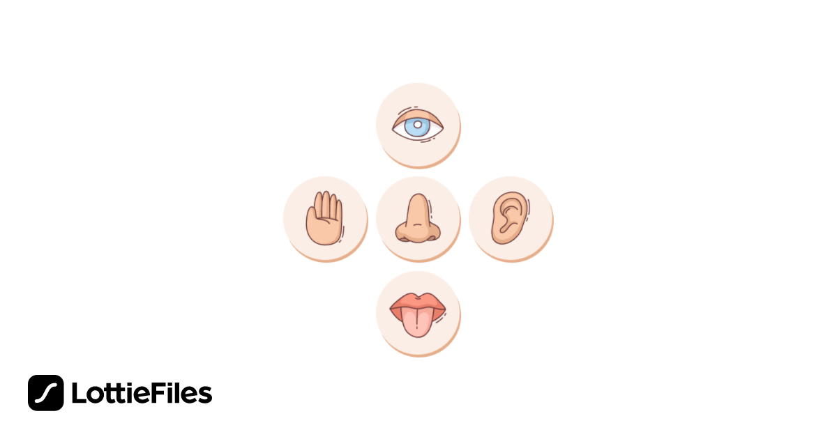 Free senses Animation by Presley | LottieFiles