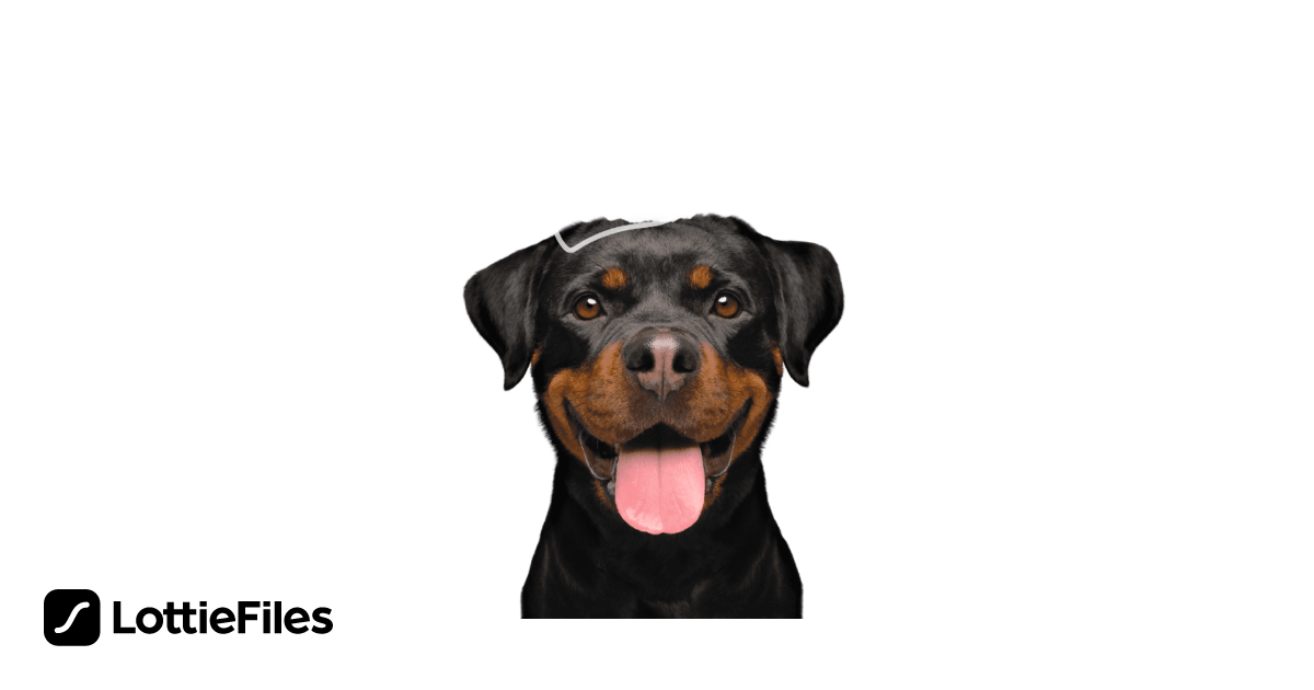 Free Woof Animation by Carlos Deza | LottieFiles