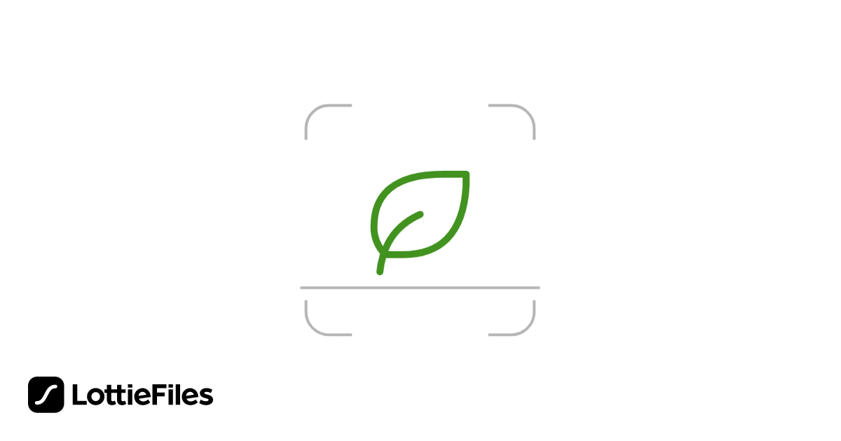Free Leaf scanning Animation by Dražen Stojović | LottieFiles