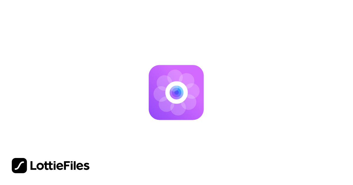 Free camera Animation by Bamdad | LottieFiles