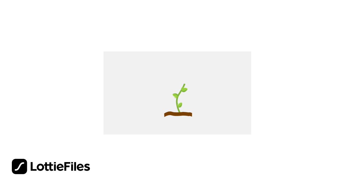 Free Seed animation cloudgenia Animation by Hugo | LottieFiles