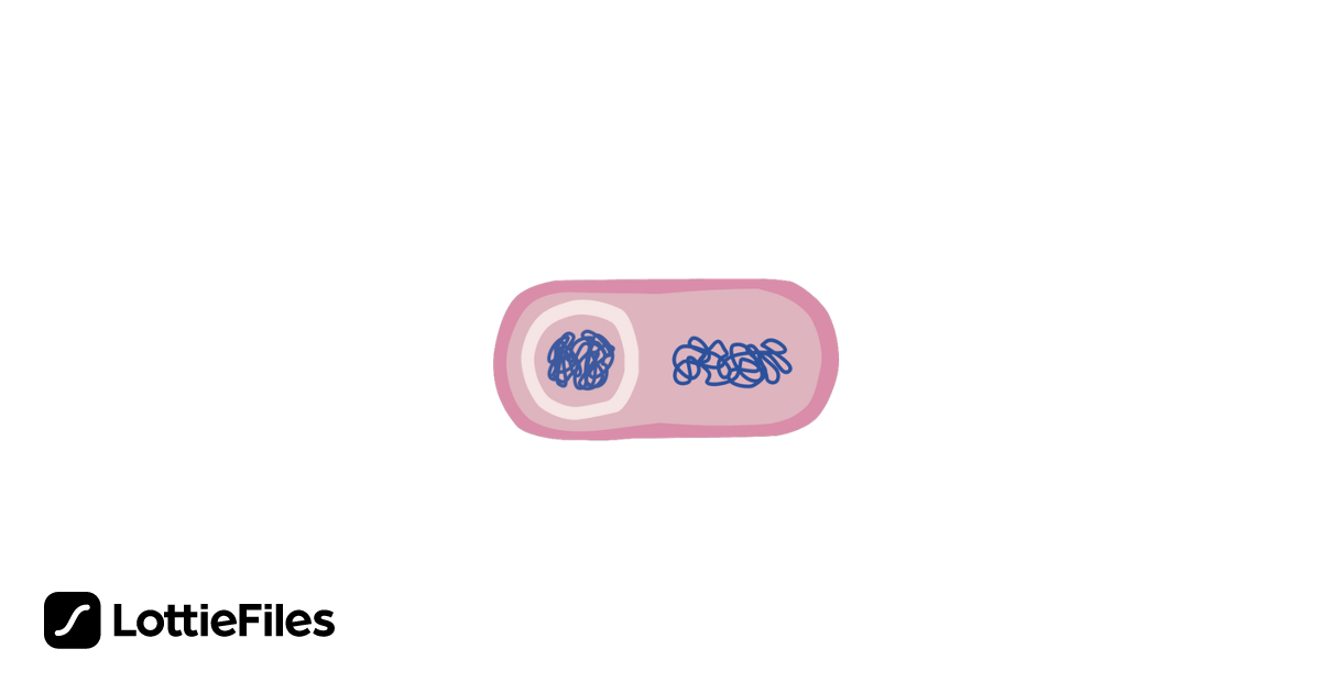 Free Endospore formation Animation by Joana Barreira | LottieFiles