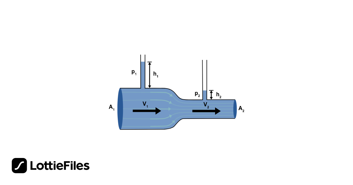 Free Exercise - Bernoulli principle - Calculate Animation by Joana ...