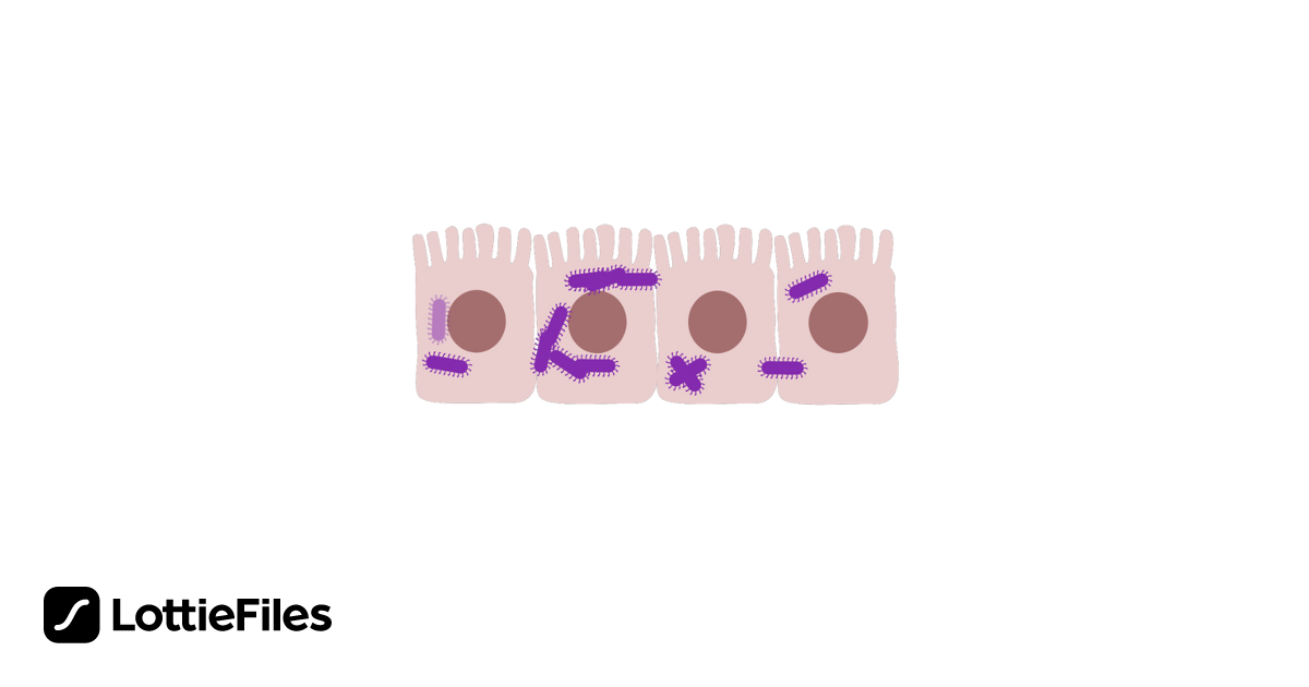 Free Shigella invading intestine cells Animation by Joana Barreira ...