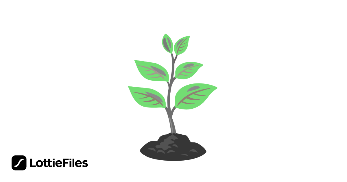 Free plant Animation by Rukesh | LottieFiles