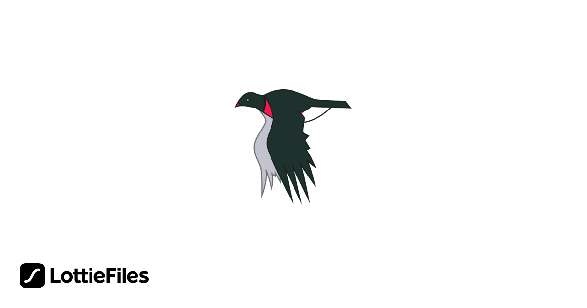 Free Flapping bird Animation by Oladayo | LottieFiles
