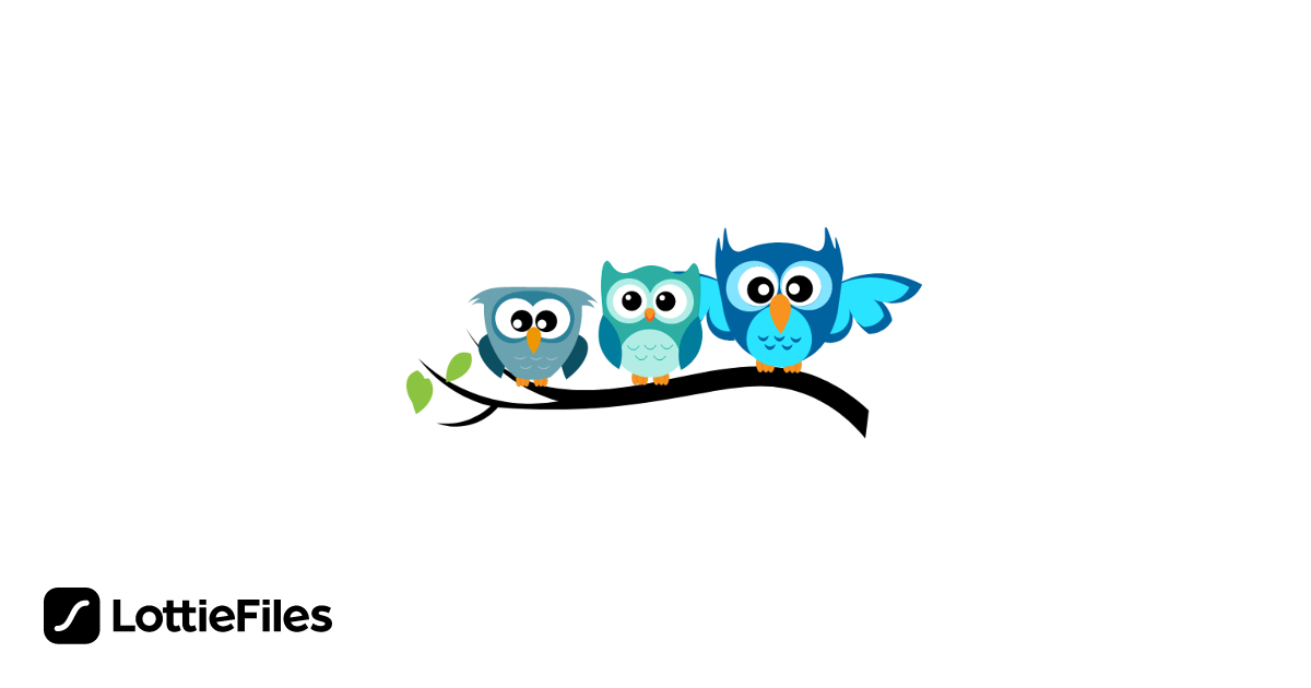 Free owls Animation by baba g | LottieFiles