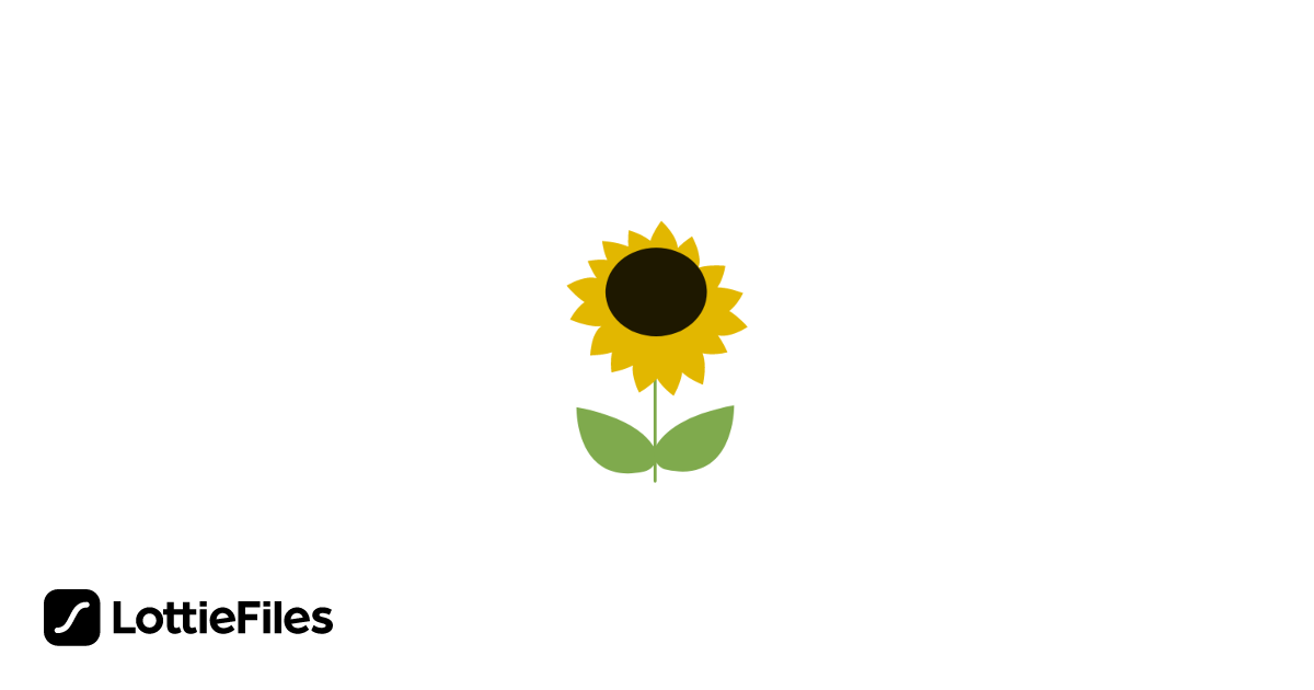 Free Sunflower Animation by Thémys | LottieFiles