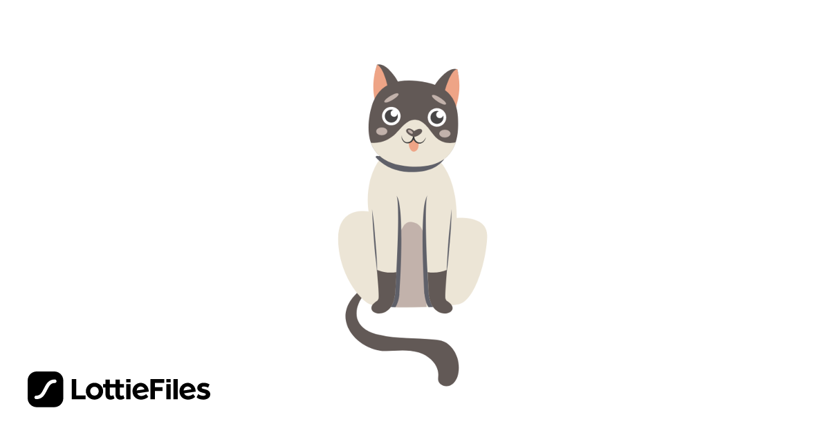 Free Chat 2 Animation by Fanny | LottieFiles