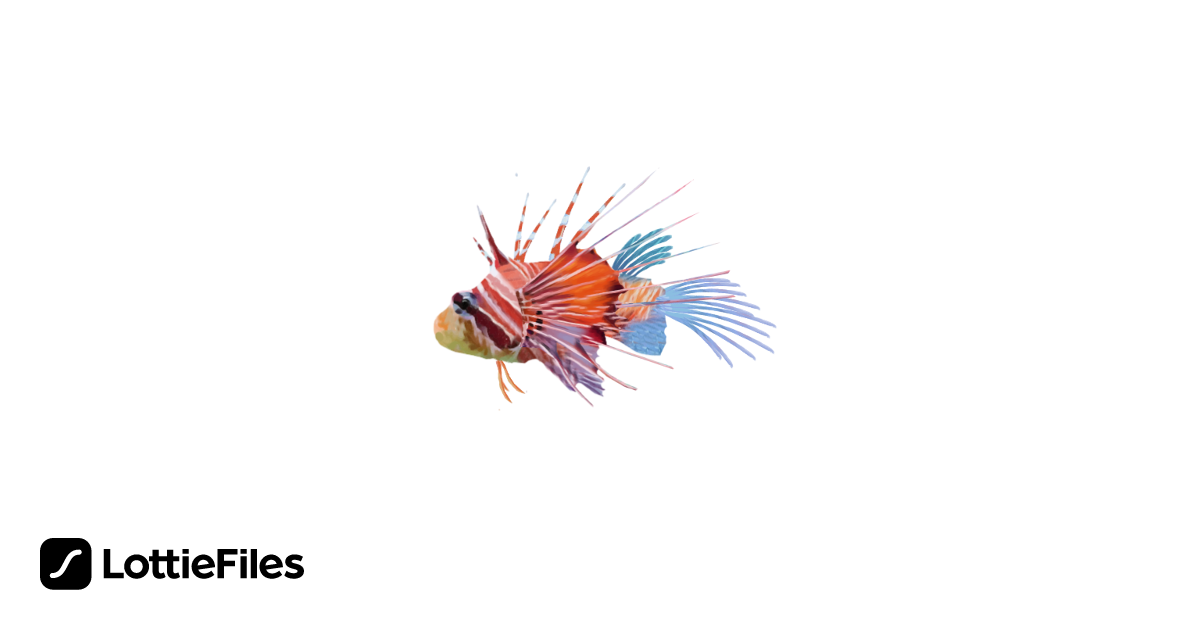 Free Lion Fish Animation by Elan Chez | LottieFiles