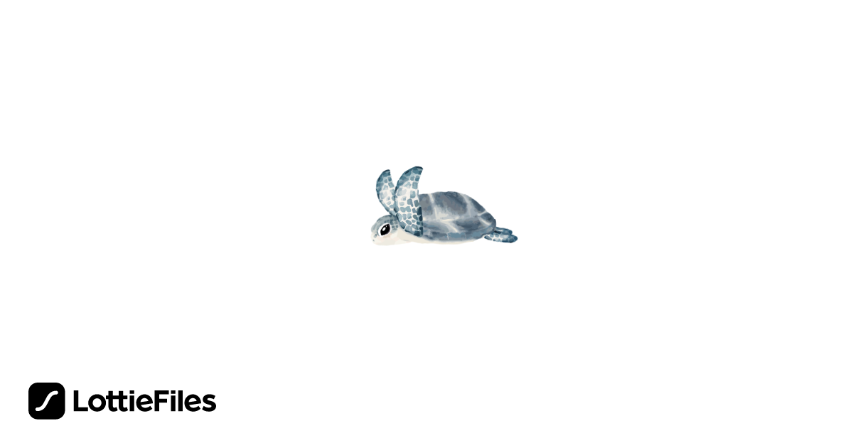 Free Sea Turtle Animation by Elan Chez | LottieFiles