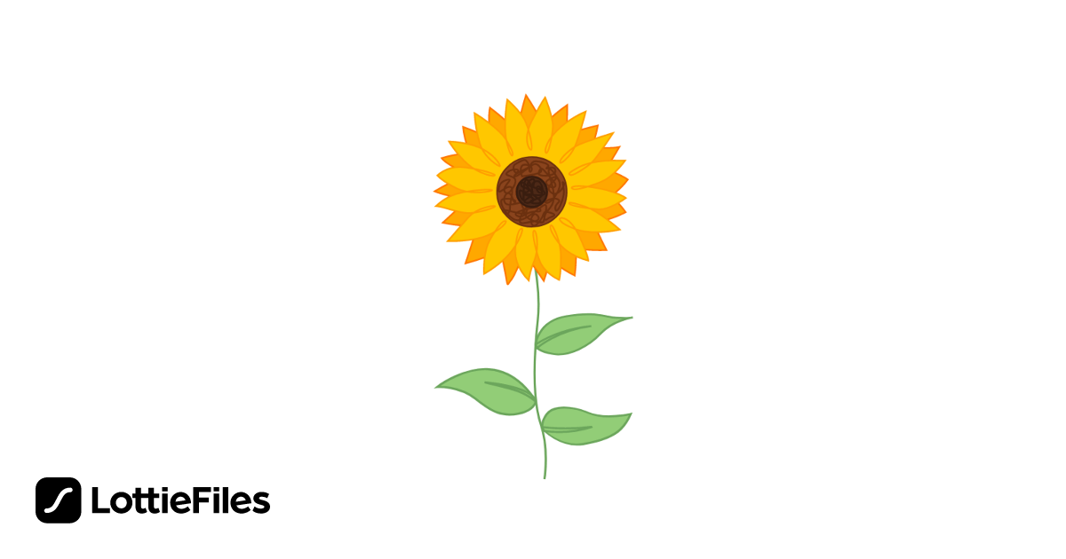 Free Sunflower Animation by Tarryn Myburgh | LottieFiles