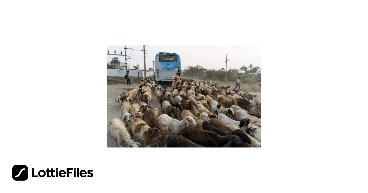 Free dsadsa Animation by Mohibullah Kamran | LottieFiles