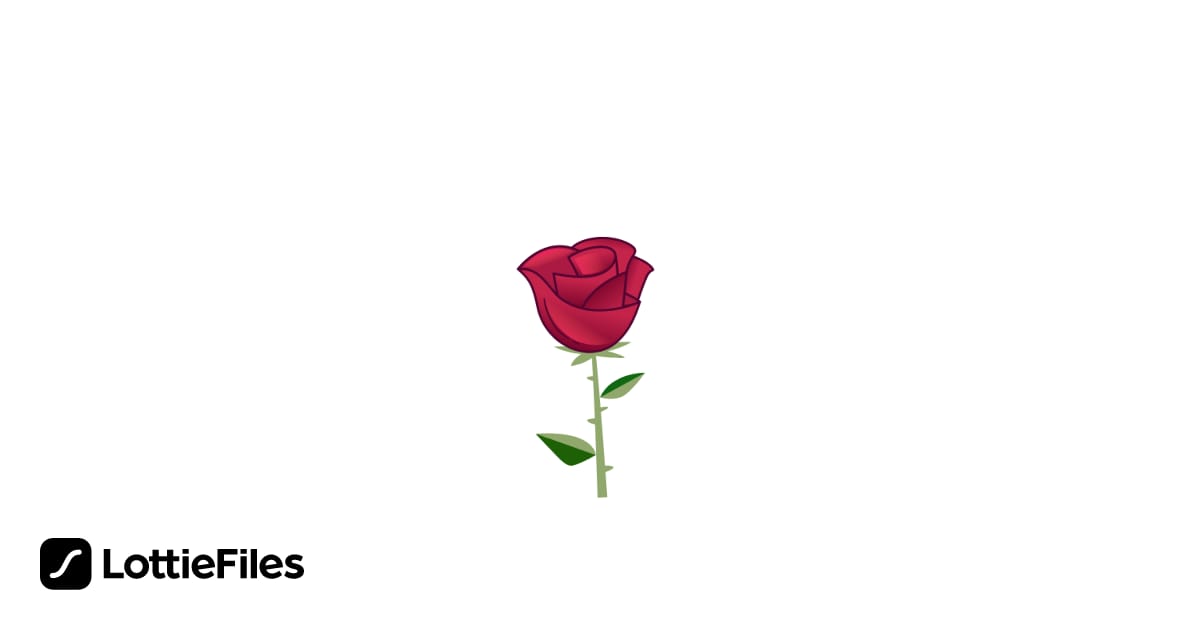 Free Rose Animation by Manoj Kumar | LottieFiles